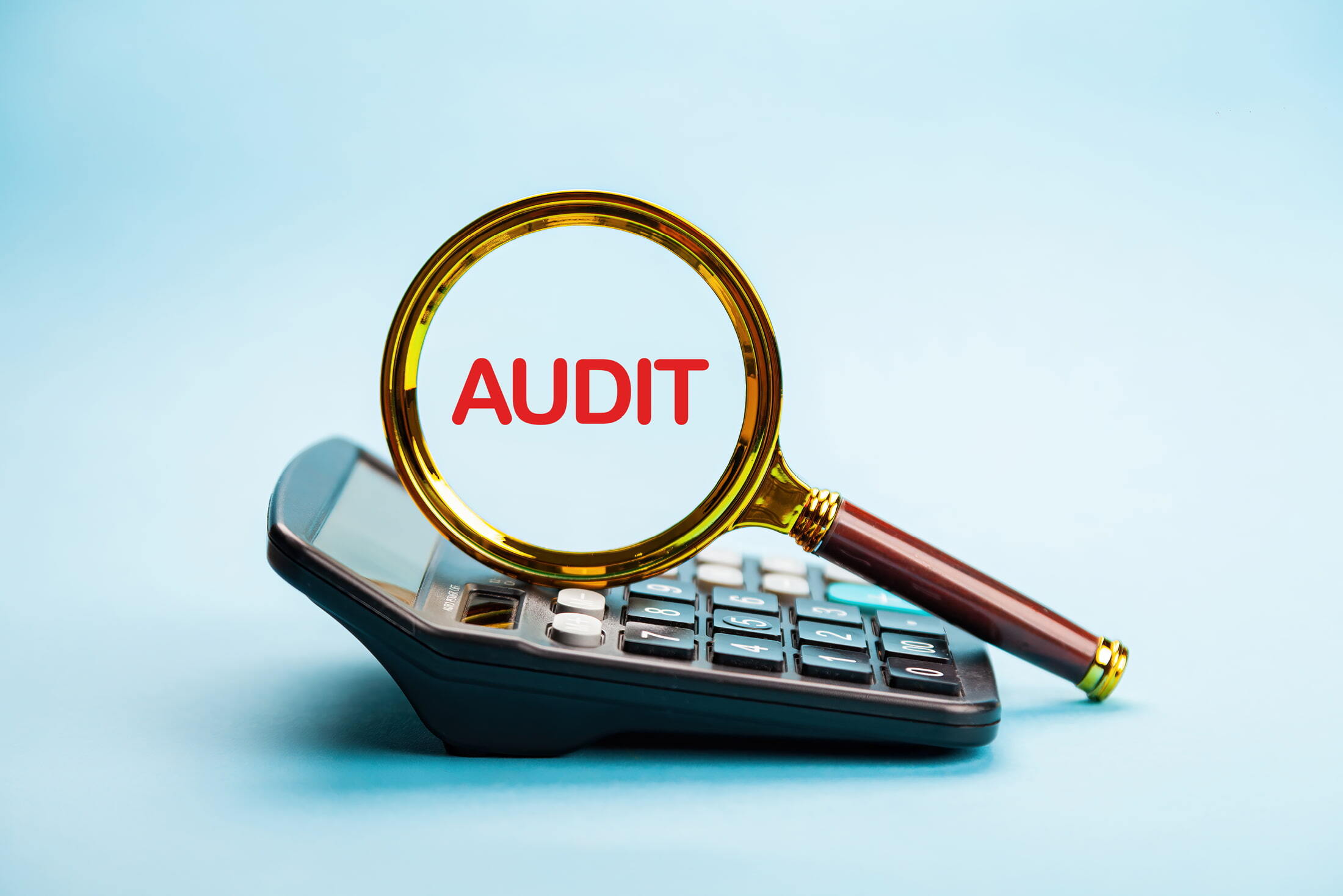 Audit & Assurance - Vault Consulting